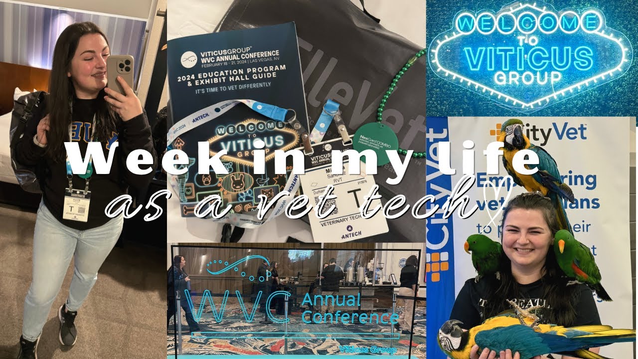 WEEK IN MY LIFE AS A VET TECH| WVC Conference 2024🐾🩺 - YouTube