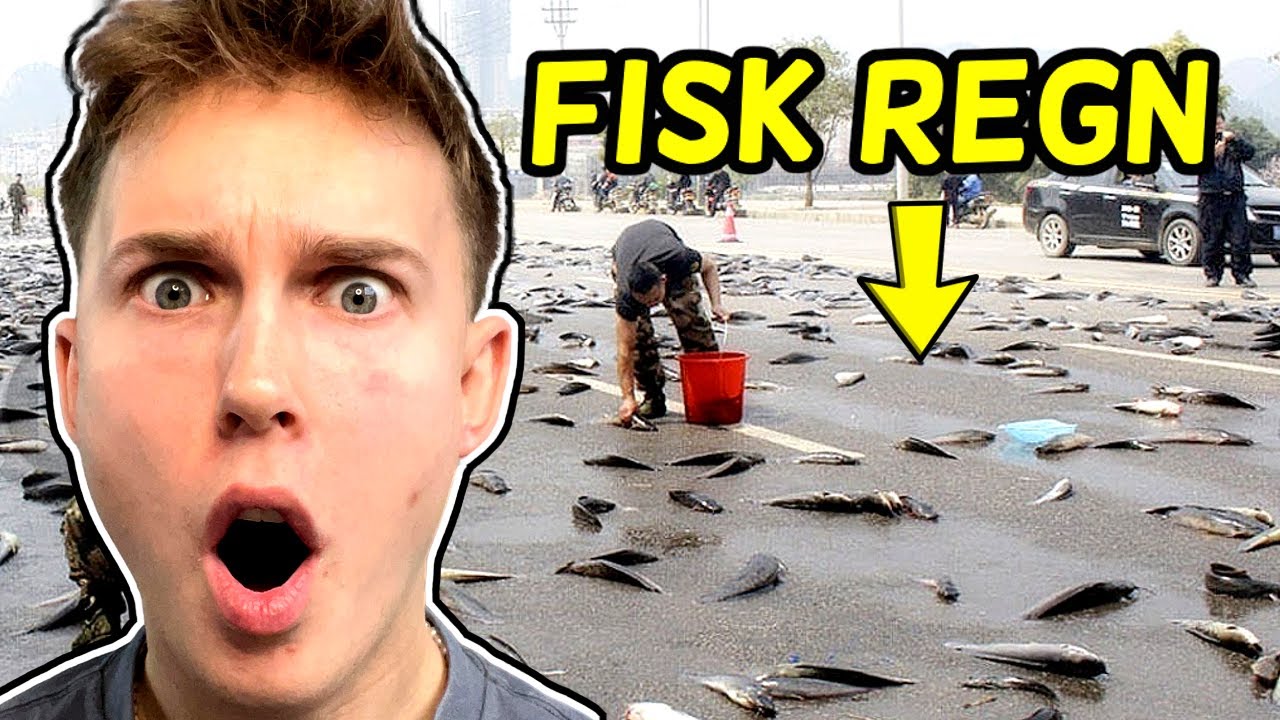 DET REGNER MED FISK!? - YouTube