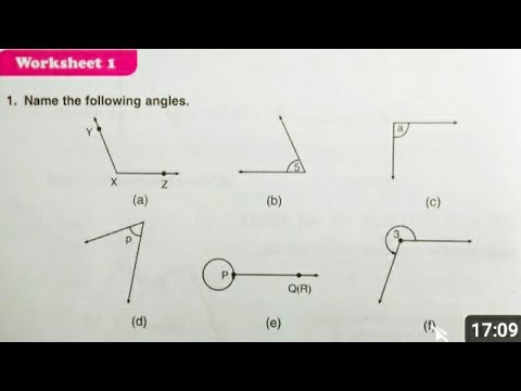 Dav Class 6 Math Chapter 10 worksheet 1 || Angles || @madhubanclasses ...