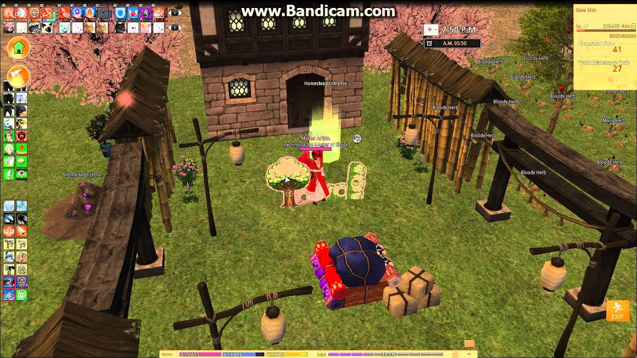 Mabinogi- New Homestead Look Level 15 Homestead - YouTube