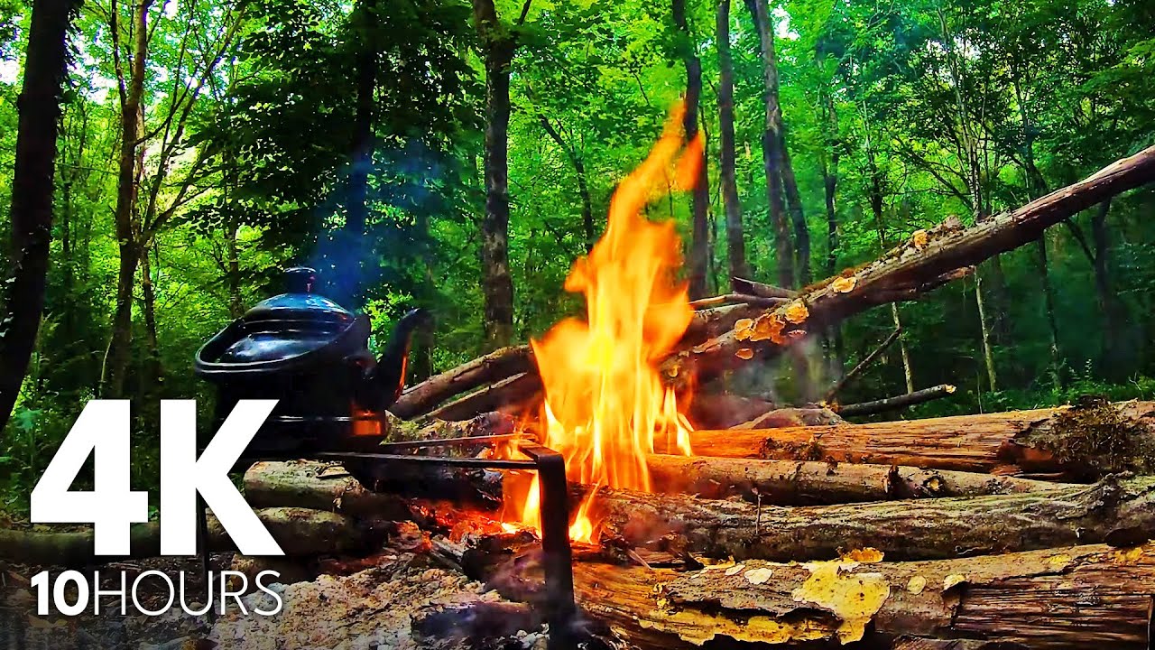 FIRESIDE NATURE ESCAPE | 10 Hours of Fire Crackling and Nature Sounds ...