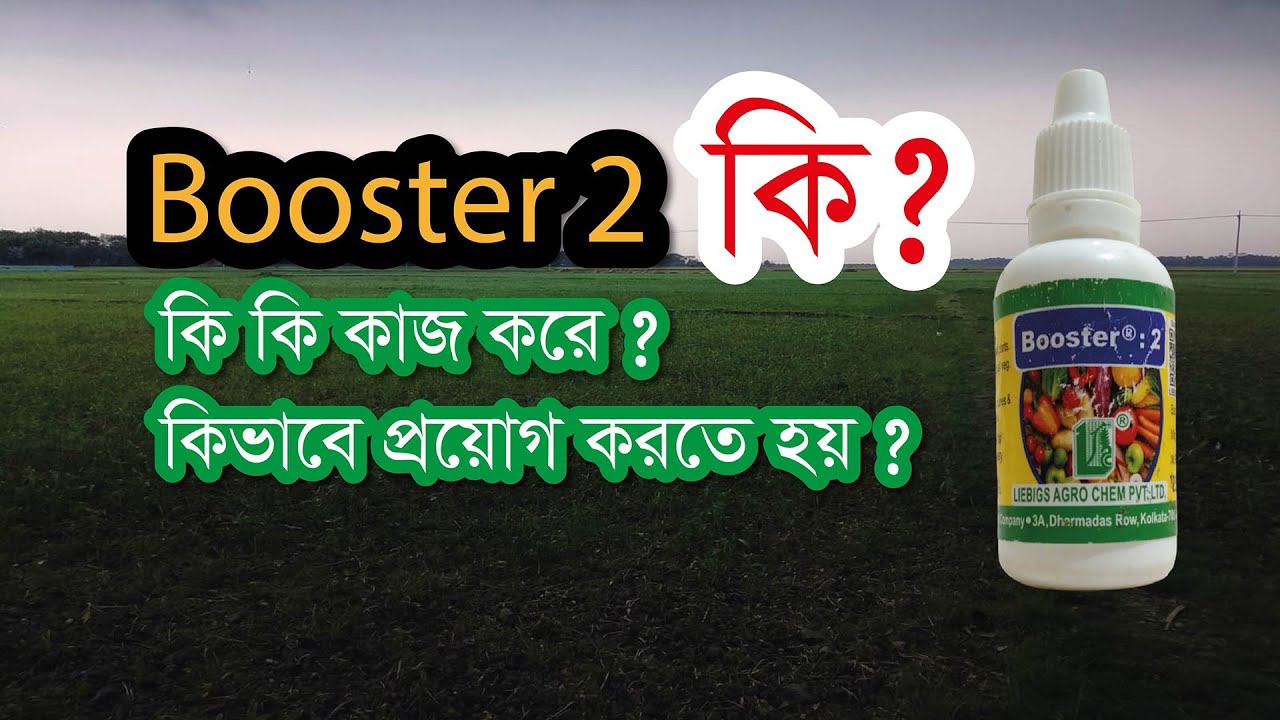 What is Booster 2, বুস্টার ২ কি কি কাজ করে ? বুস্টার ২ কোথায় পাবো ...
