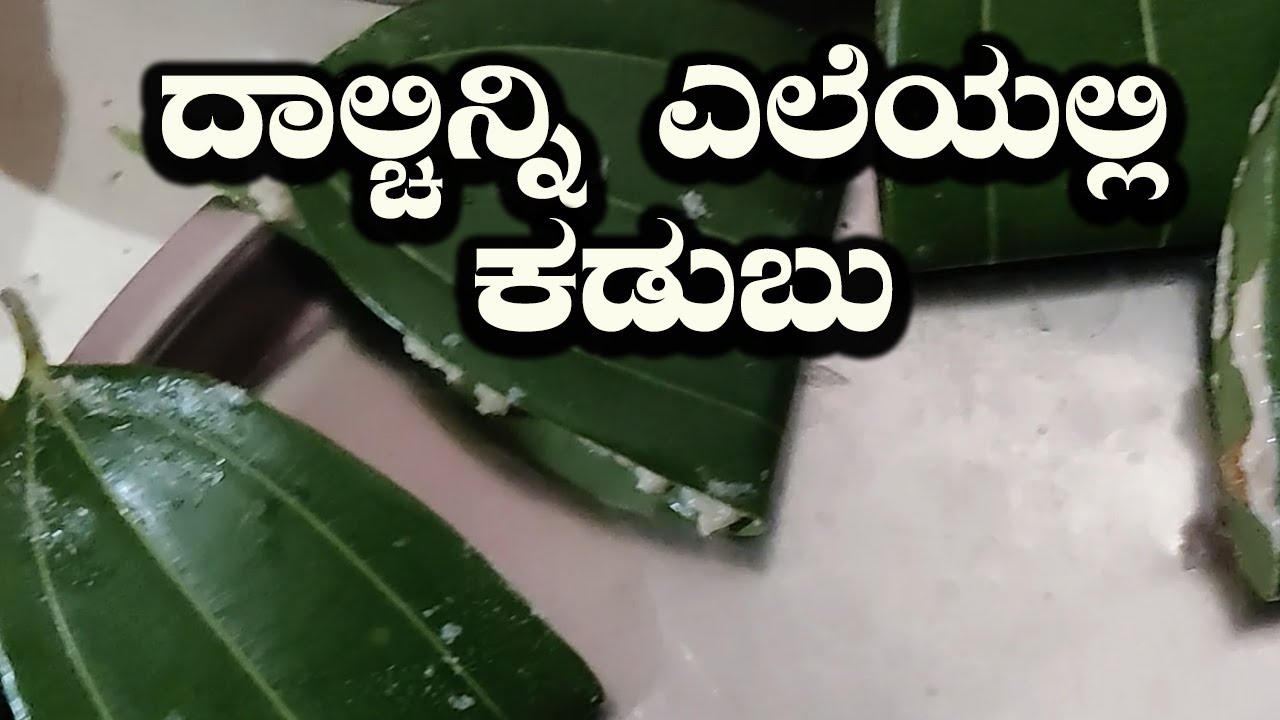 Delightful Traditional Food In Cinnamon Leaves | Karnataka Village Food ...