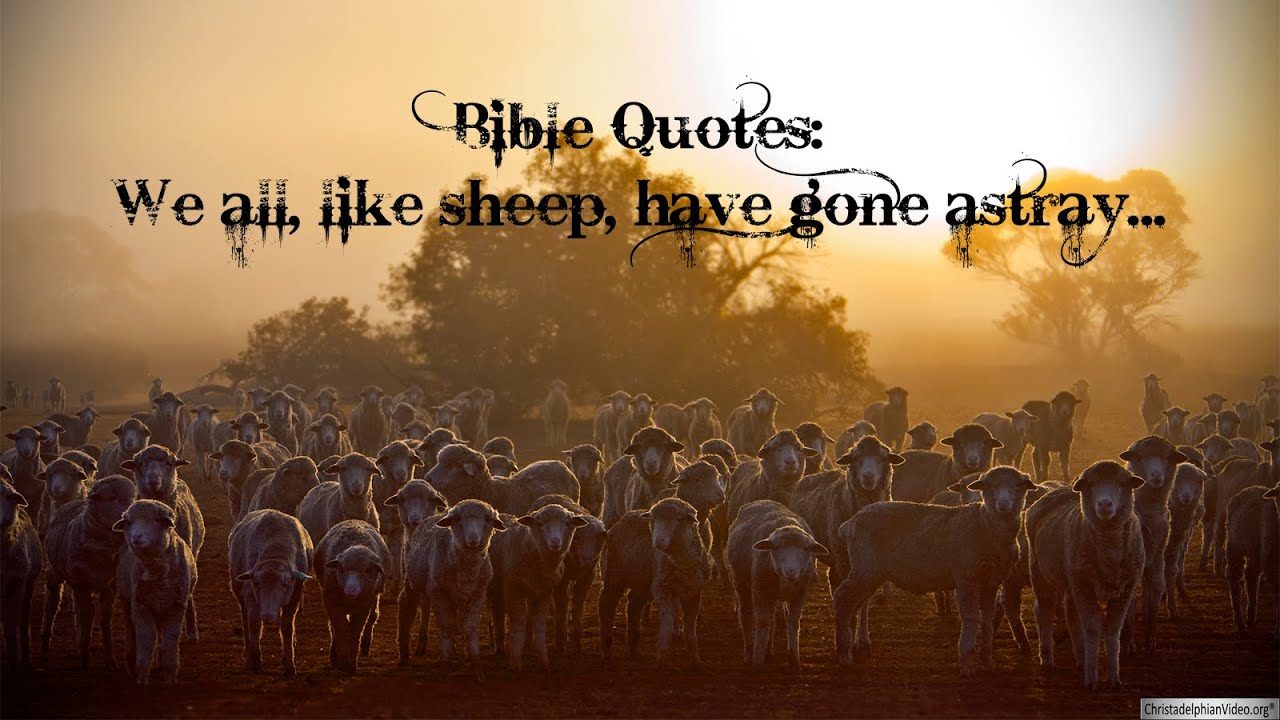 Bible Quotes: We all, like sheep, have gone astray Isaiah 53:6 - YouTube