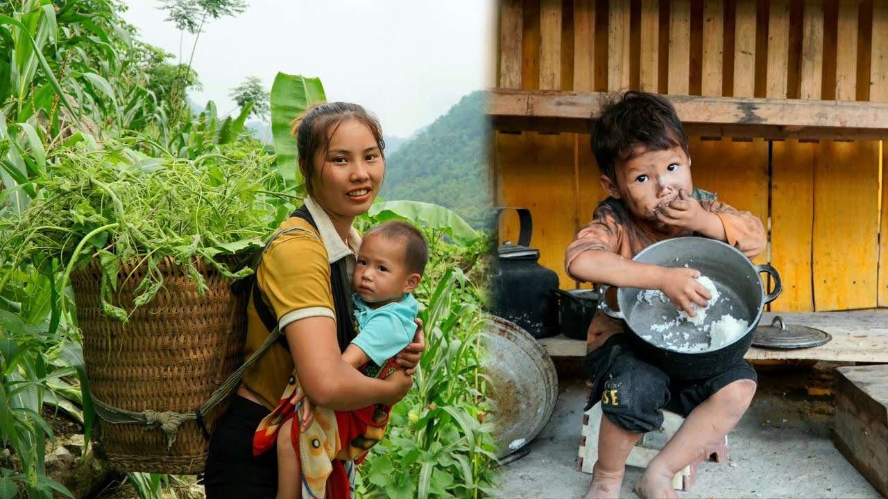 Chuc Thi Duong harvests green vegetables to sell at the market - it's so warm that the boy is ...