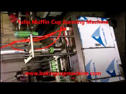 Tulip Muffin Cup Forming Machine - YouTube