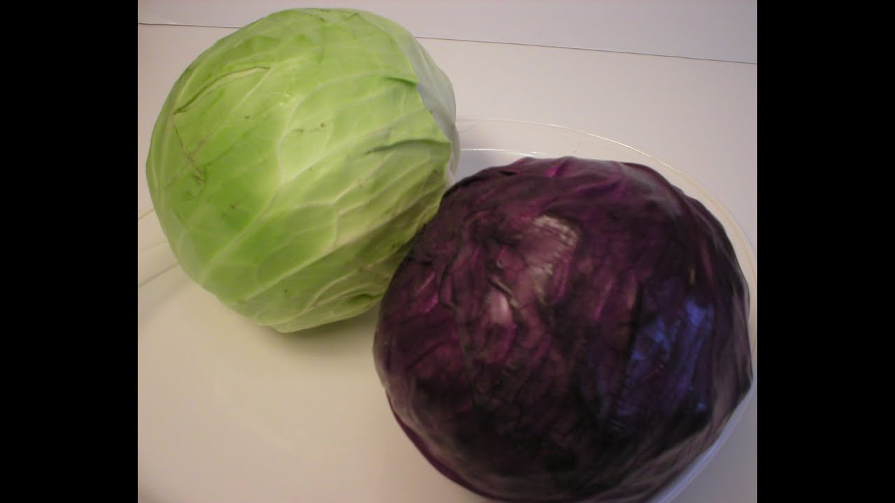 Purple (aka Red) vs Green Cabbage Characteristics and Uses...A ...