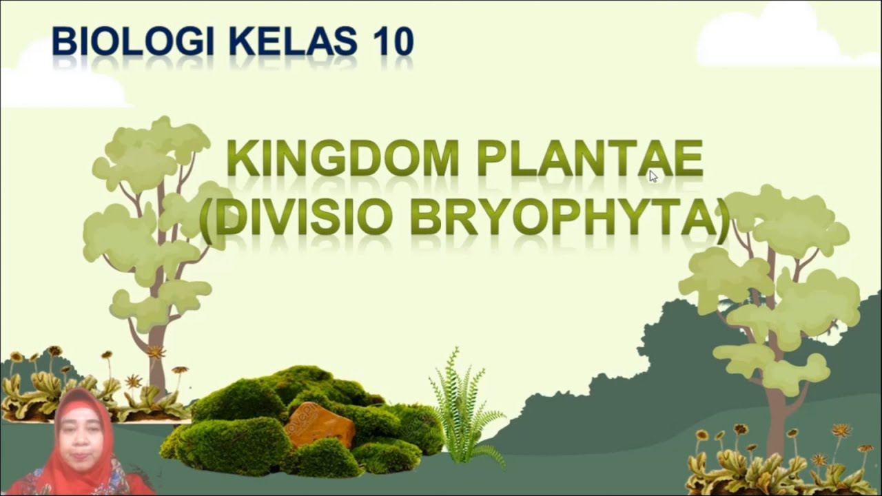 Kingdom Plantae (Divisio Bryophyta) | Mata Pelajaran Biologi | Kelas X ...