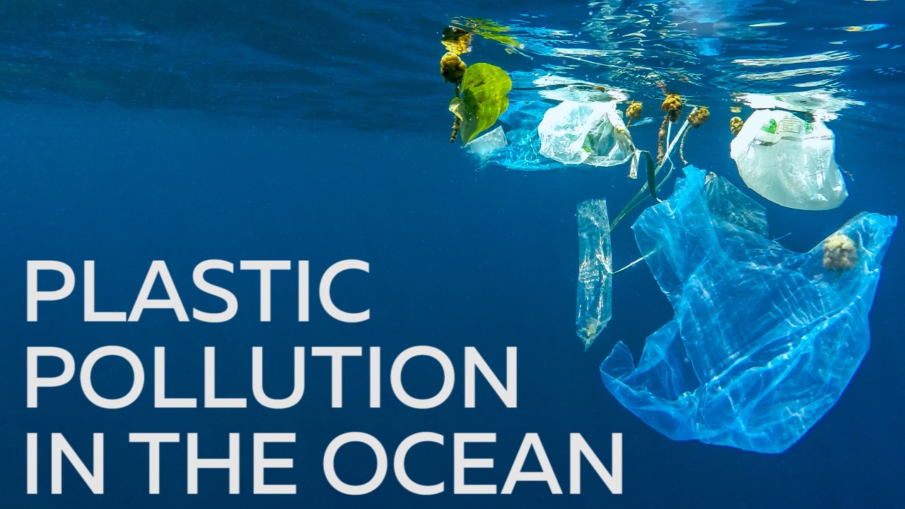 Plastic Pollution - YouTube