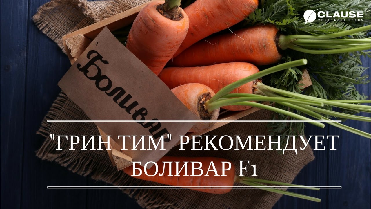 ХРАНЕНИЕ МОРКОВИ БОЛИВАР F1 | КАК ХРАНИТСЯ МОРКОВЬ НА ГРИН ТИМ - YouTube