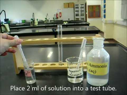Tests for cations react with dilute ammonia solution - YouTube