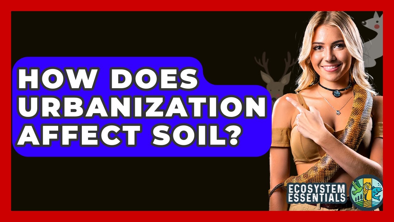 How Does Urbanization Affect Soil? - Ecosystem Essentials - YouTube