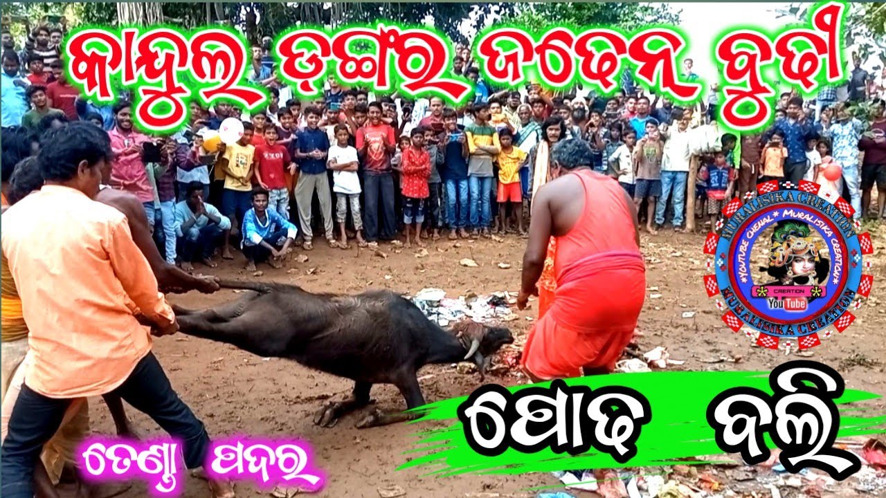 Kandul Dankar Jhadhen Budhi Jatara 2022 ll Tenda padar ll କାନ୍ଦୁଲ ବୁଢ଼ା ...