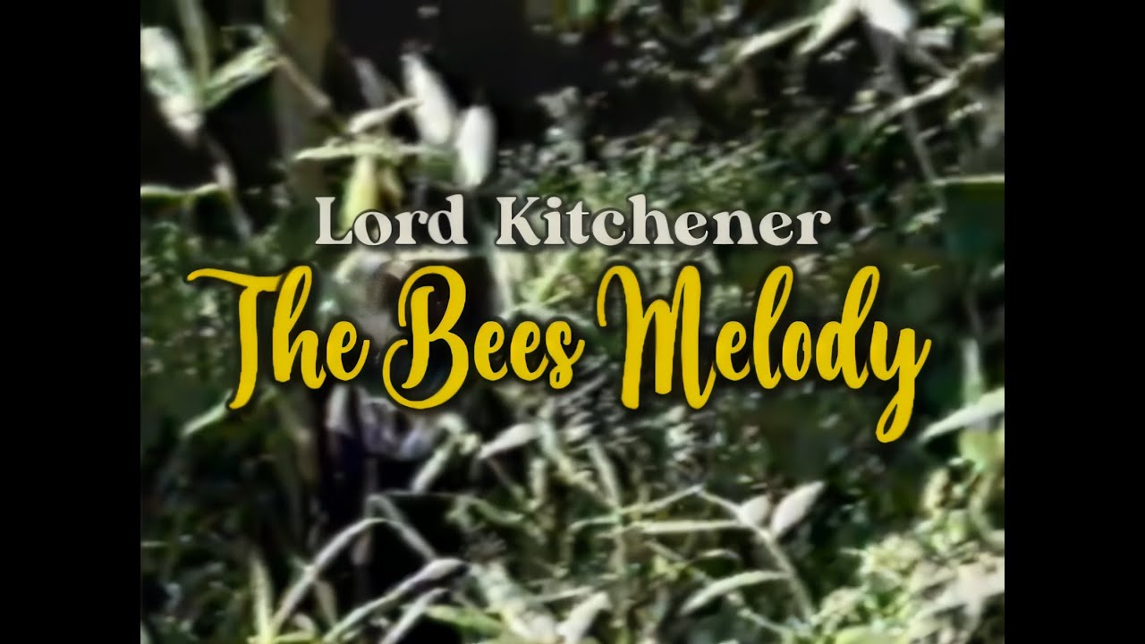 The Bees Melody (1992 Music Video) - Lord Kitchener - YouTube