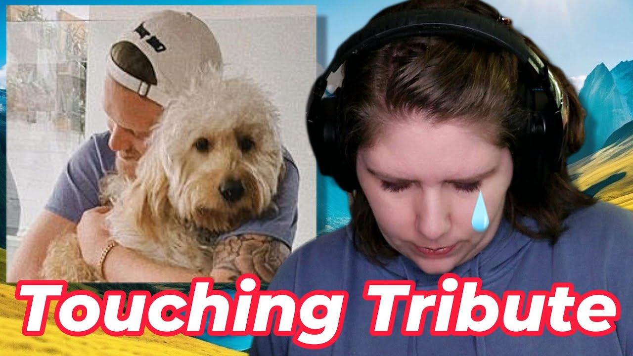 FIRST Reaction to Scott Hoying's Bubs | Veterinarian Reacts! - YouTube