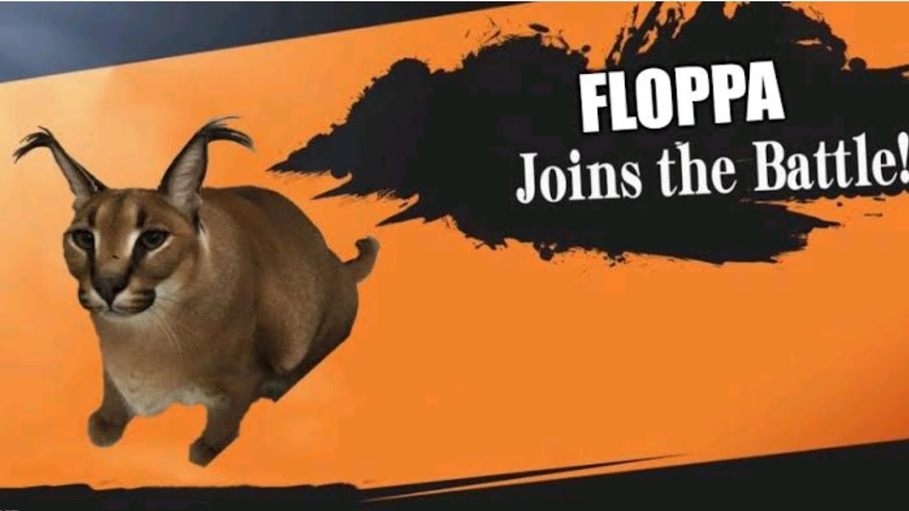 floppa joins the cats - YouTube