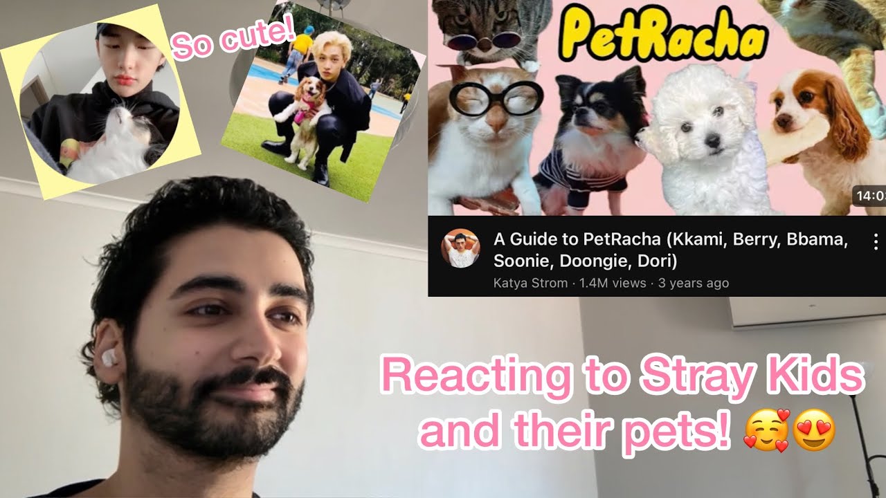 Reacting to Stray Kids and Their Pets - So cute and adorable 🥰 - YouTube