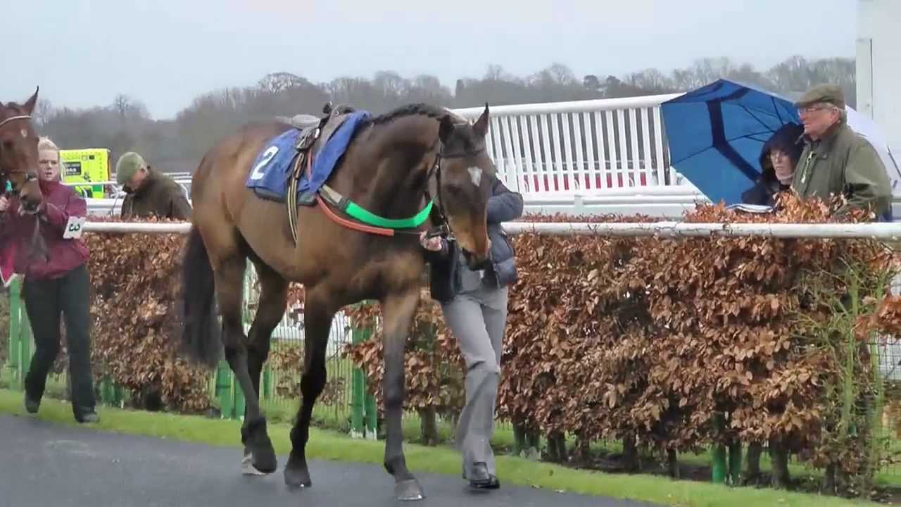 Peter Winks Racing Homefield Racing Stables - YouTube