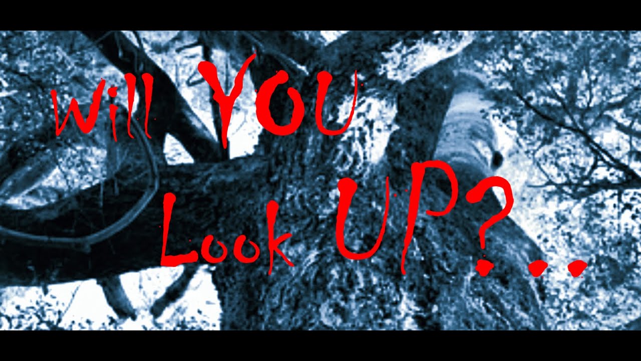 The Demon In The Tree / What to DO when a DEMON calls out your NAME # ...