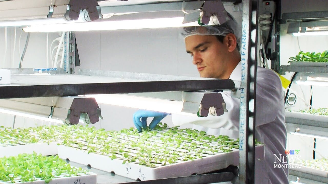 Future of farming: Urban Barns runs cubic farm in Quebec - YouTube