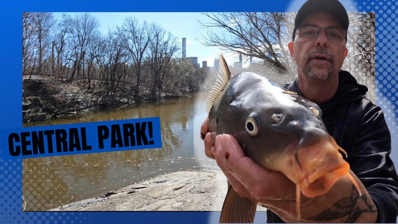 I travelled OVER 1500 MILES for this fish in New York City!! # ...
