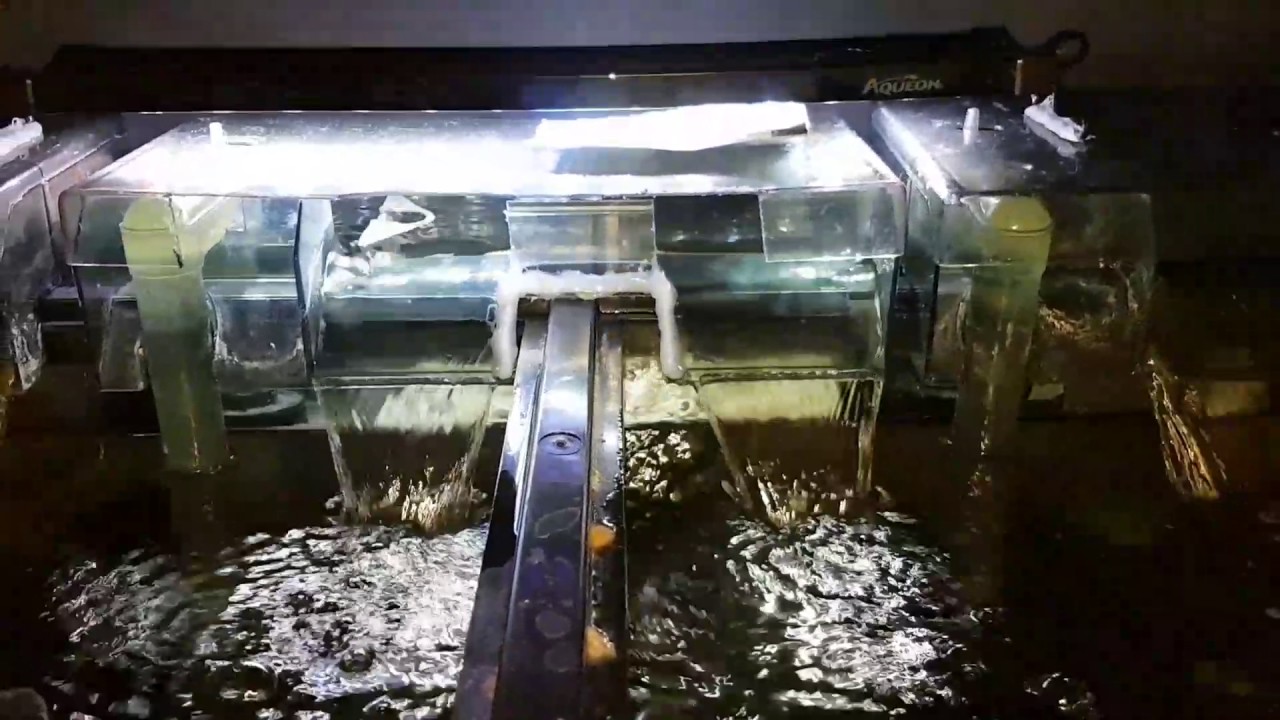 Aqua clear 110 filter - YouTube