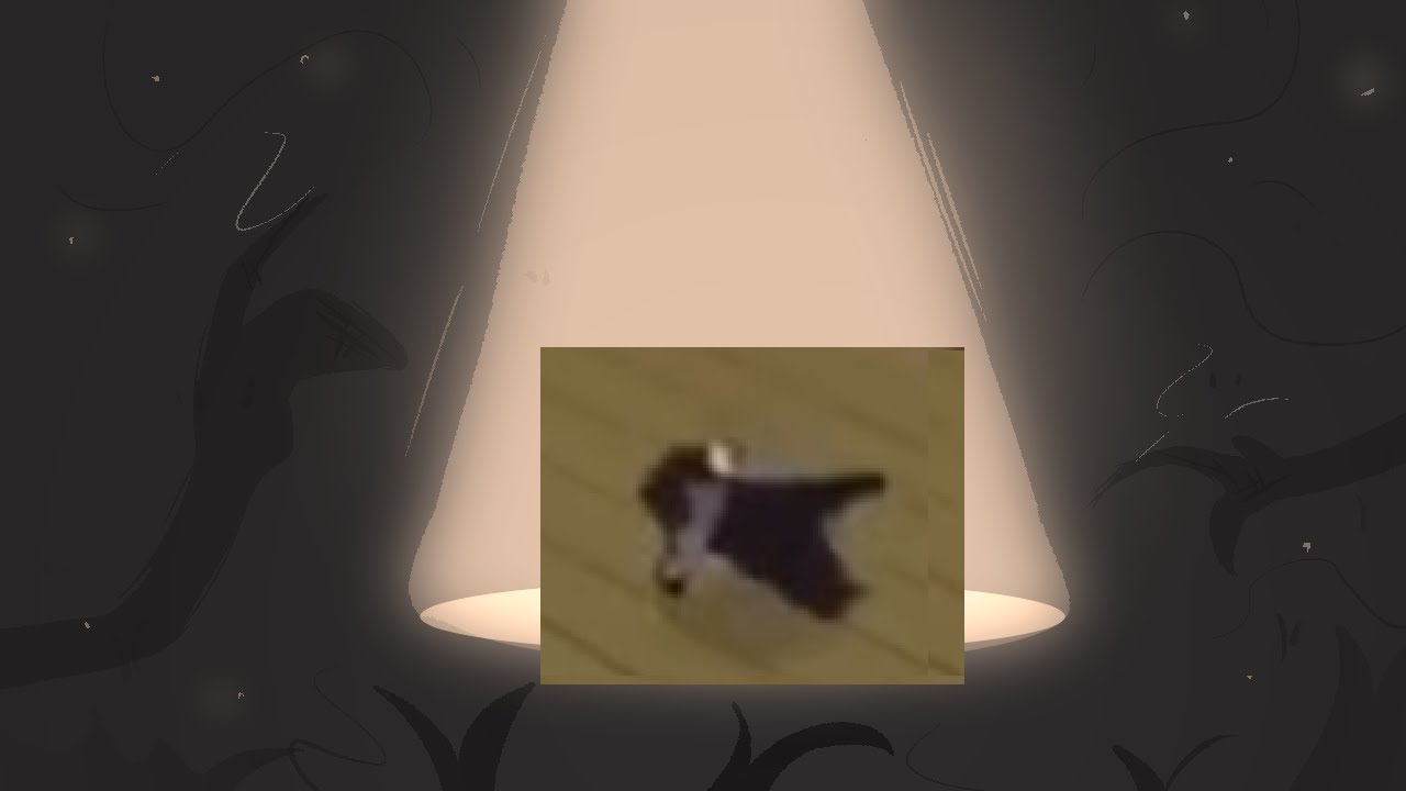 breakdancing shilo jrwi the suckening - YouTube