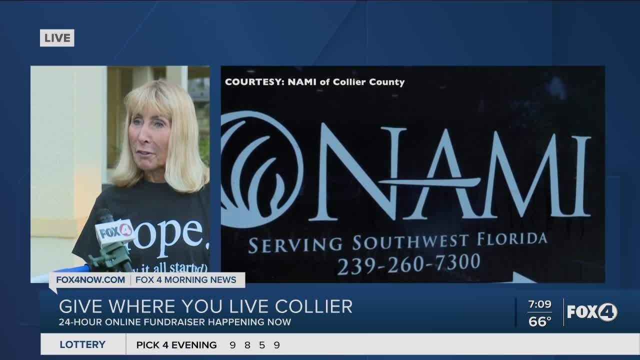 How to give to NAMI Collier County during "Give Where You Live Collier ...