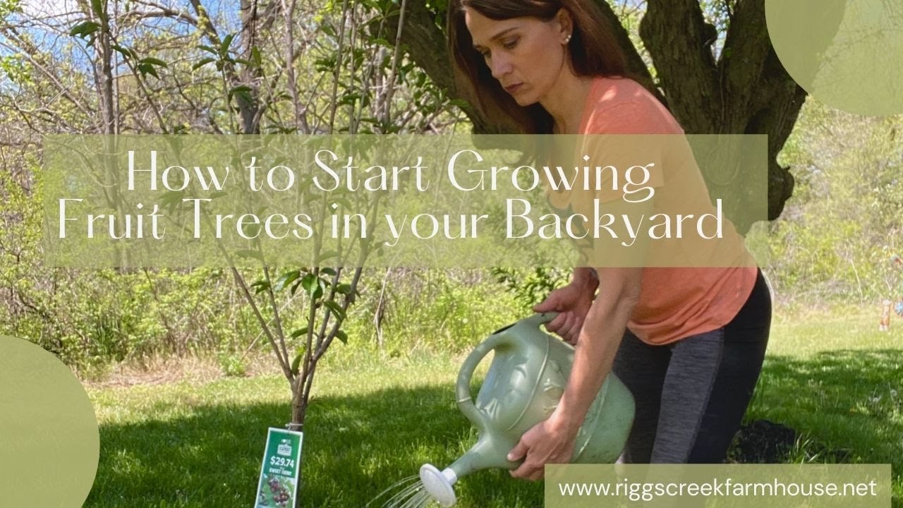 How to Start Growing Fruit Trees in your Backyard - YouTube