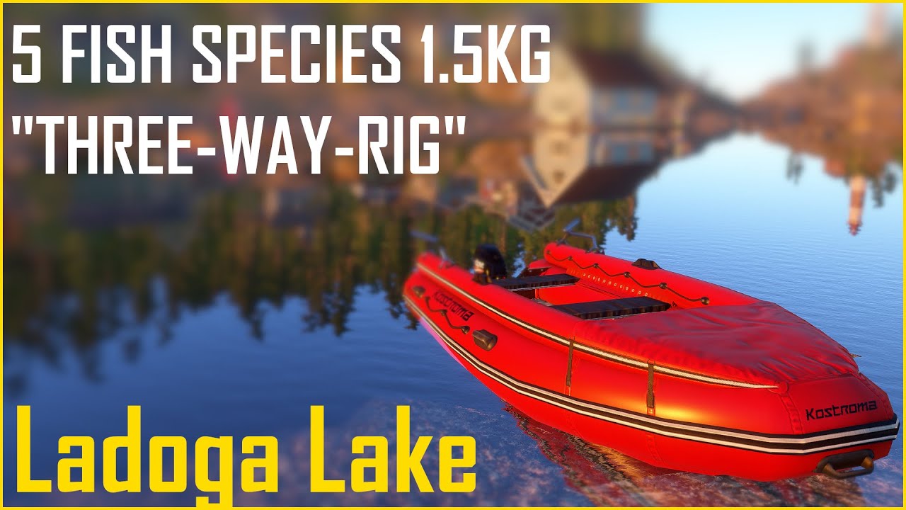 5 FISH SPECIES 1.5KG "THREE-WAY-RIG" | Ladoga Lake | rf4 spot #mjplay ...