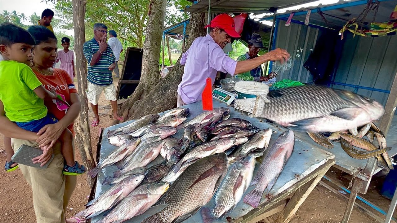 Wow!! Street Vendors Shows Master Fish Cleaning Techniques In ...