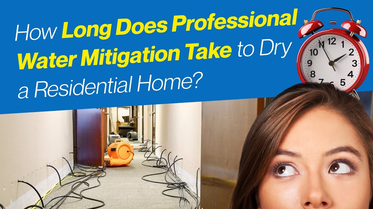 How Long Does Professional Water Mitigation Take to Dry a Residential ...