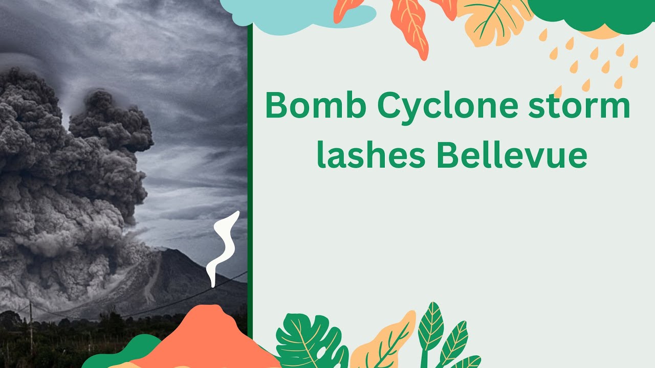 Bomb Cyclone storm lashes Bellevue - YouTube