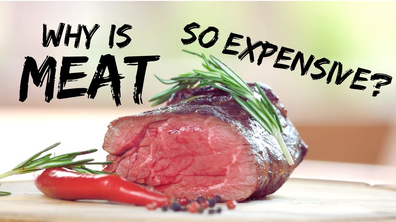 Meat: Why is it so expensive? - YouTube