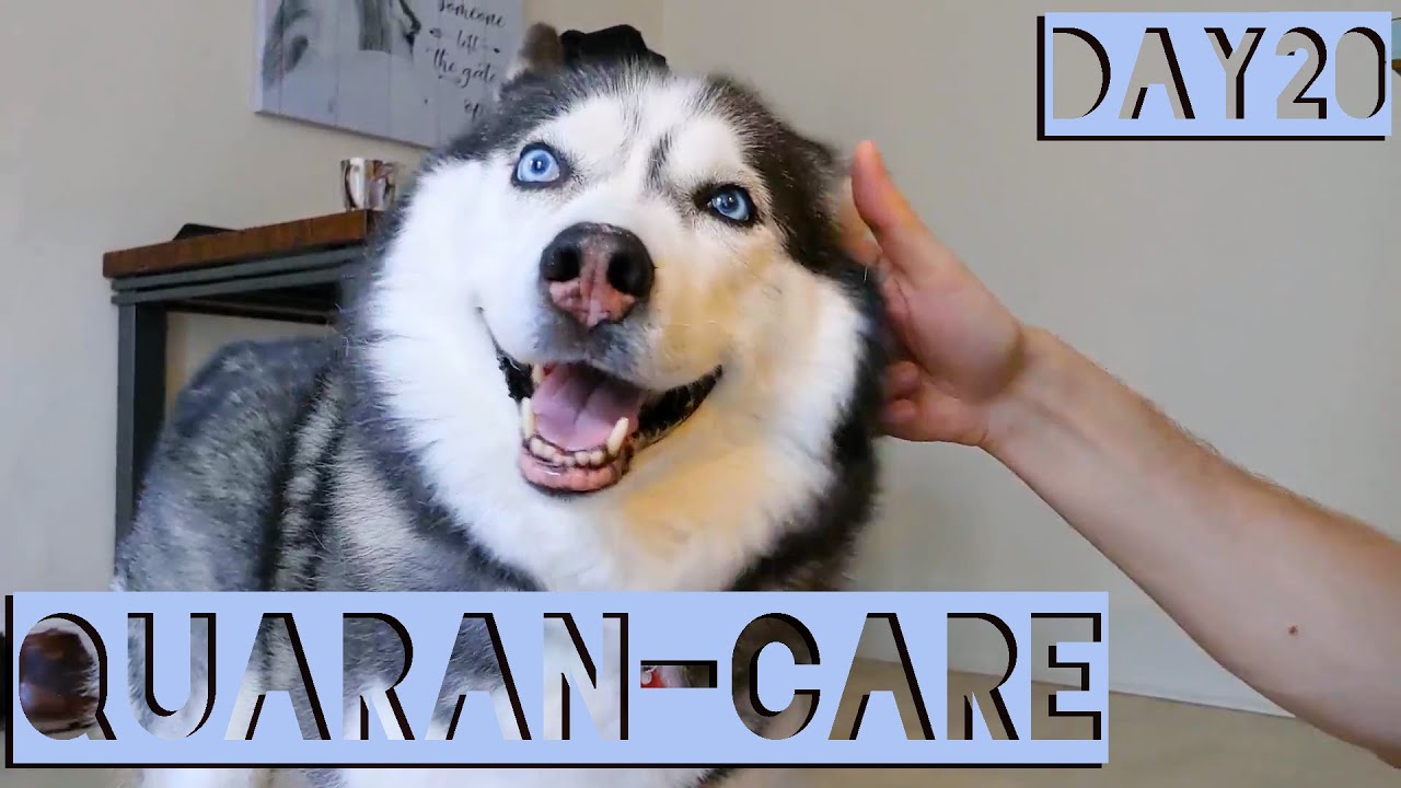 Quarantine - Day 20 - YouTube