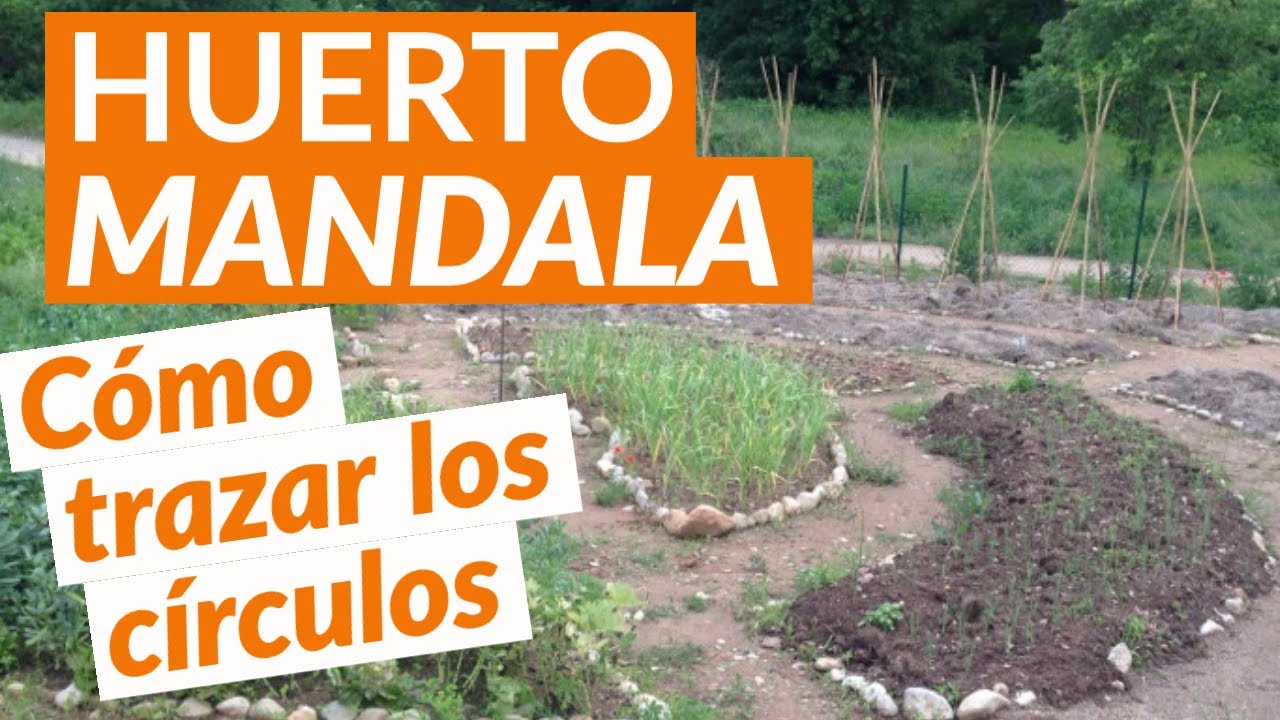 Huerto 🌀 MANDALA | Cómo marcar los círculos - YouTube