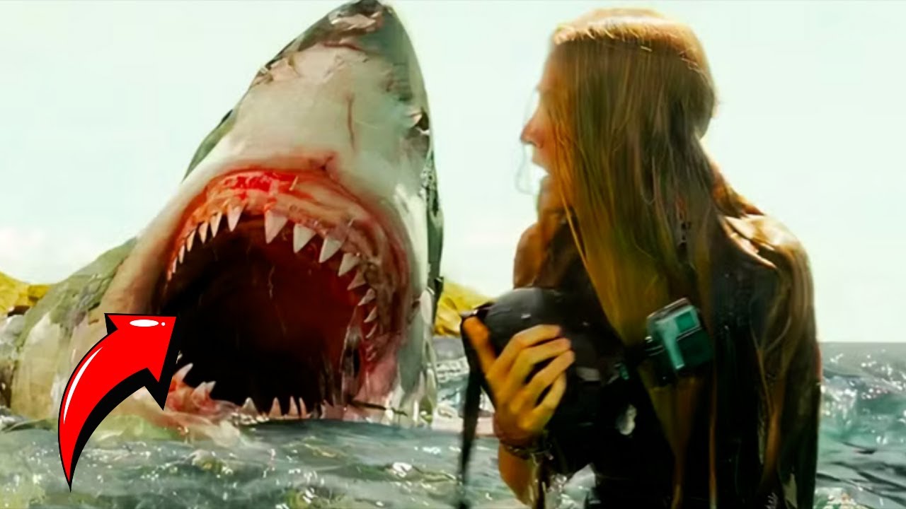 The Shallows (2016): Top 5 Action Scenes You Must Watch! - YouTube