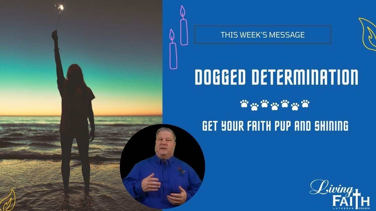 Dogged Determination: Get Your Faith Pup and Shining- 09/08/2024 ...