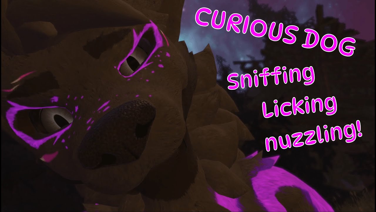 Furry Asmr Sniffing Licking And Nuzzling You Youtube