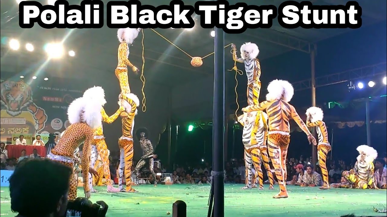 Polali black Tiger awesome stunt In pili Nalike by MAN GAL URU Live ...