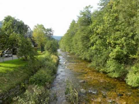 foresta nera.mpg - YouTube