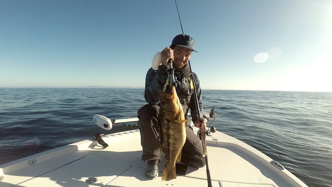 Full Body Experience - Weedless Swimbait Fishing for Bass - YouTube