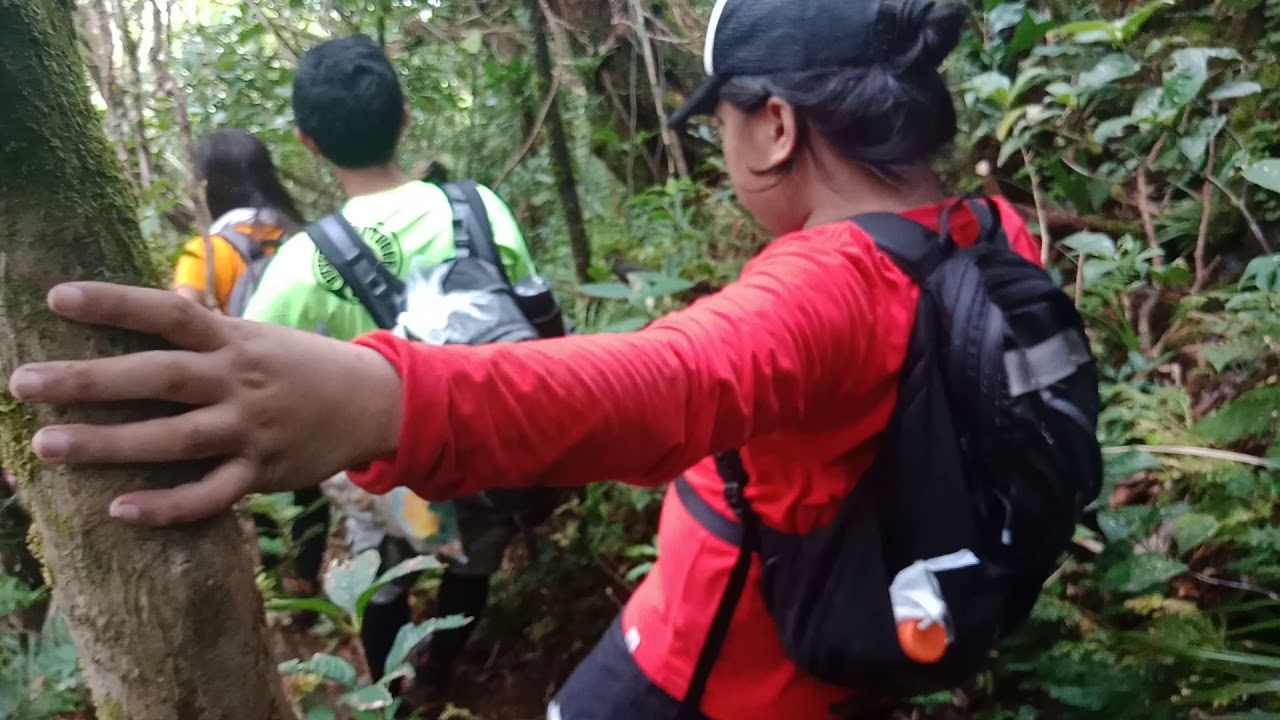 mt. Bagacay Labo Camarines Norte - YouTube
