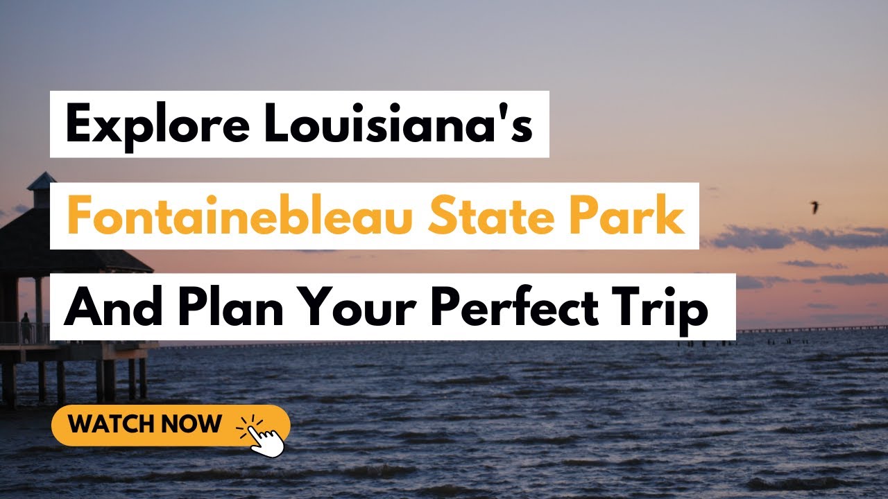 Explore Louisiana's Beautiful Fontainebleau State Park With Us! - YouTube