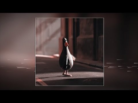 Mareux - Killer (Slowed & Reverb) |Feathers McGraw