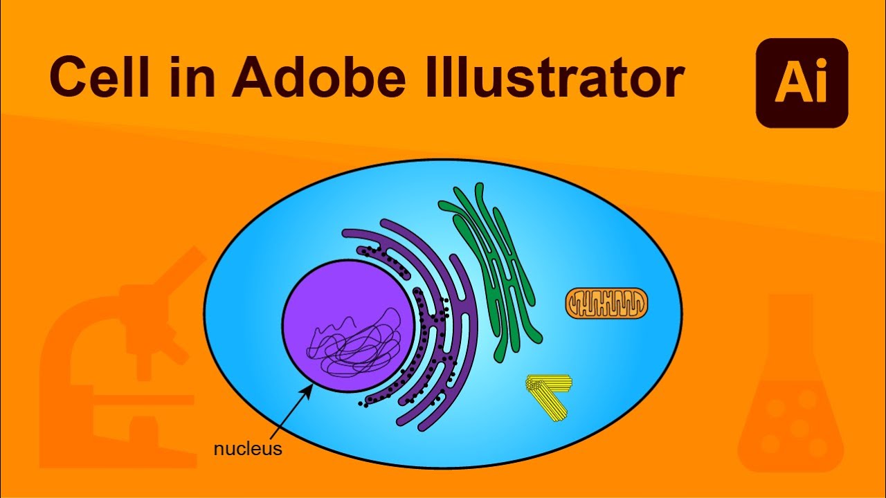 Cell in Adobe Illustrator - YouTube