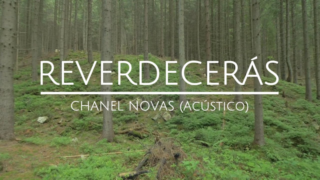 REVERDECERÁS (Acústico LETRA) | Chanel Novas - YouTube