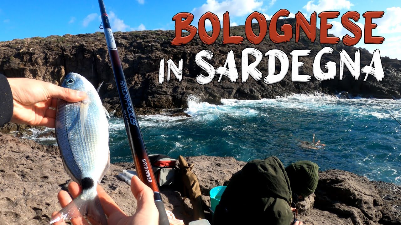 PESCA BOLOGNESE dalla SCOGLIERA NATURALE SARDA - BIGATTINO & GAMBERO ...