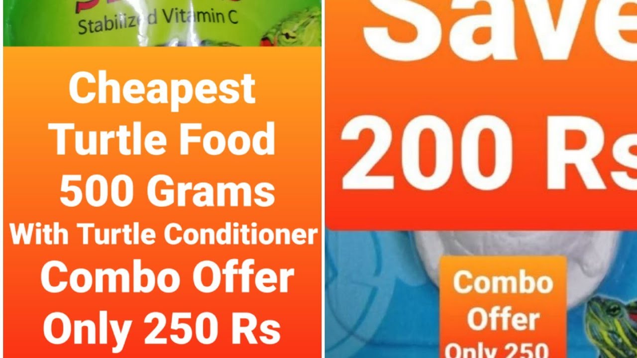 Cheapest 500 Grams Turtle Food With Combo Offer Turtle Conditioner You ...