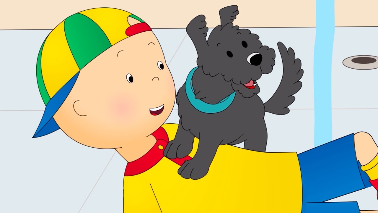 Caillou et le Chien | Caillou en Français - YouTube